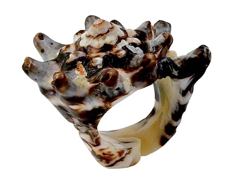 Seashell Rings – Tipsy Gypsy Tahoe